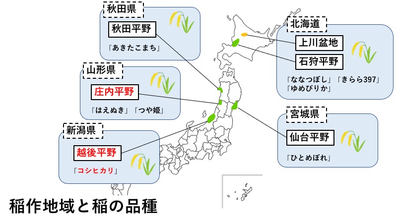 日本の稲作の特徴は？田起こし・代かき・稲かりを解説！(中学受験の勉強の基礎固め)